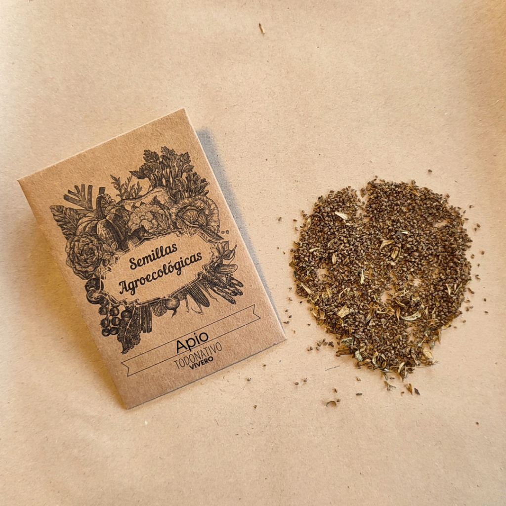 Semillas de Apio – TodoNativo | Vivero de Plantas Nativas del Sur de Chile